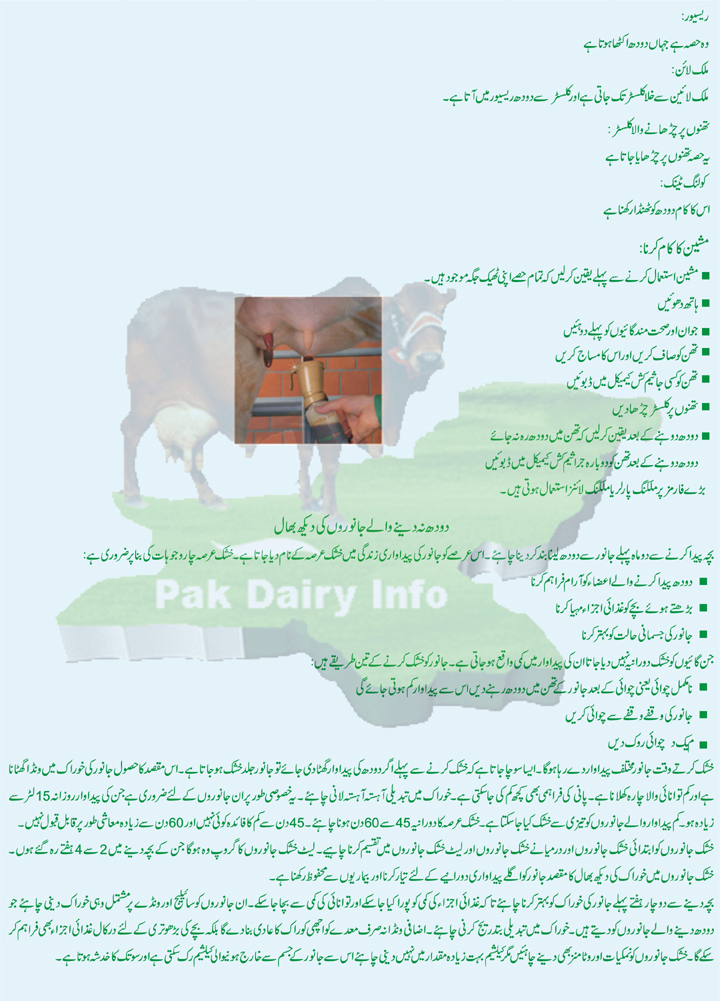 Pak Dairy Info Urdu Management Of Dairy Animals Pak Dairy Info Urdu Management Of Dairy Animals