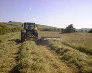Pak Dairy Info - Hay Making