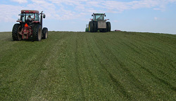 Pak Dairy Info - Silage Making